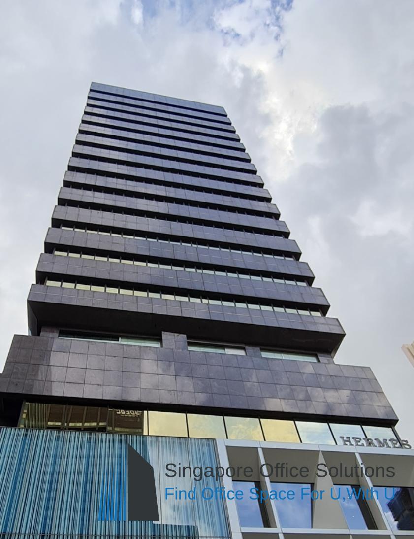 Liat Towers Office For Rent in Orchard - Singapore Office Rental